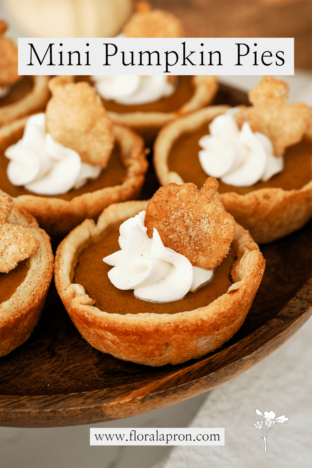 Mini Pumpkin Pies - The Floral Apron