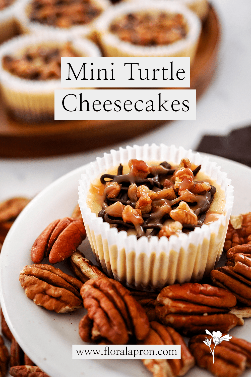 Mini Turtle Cheesecakes - The Floral Apron